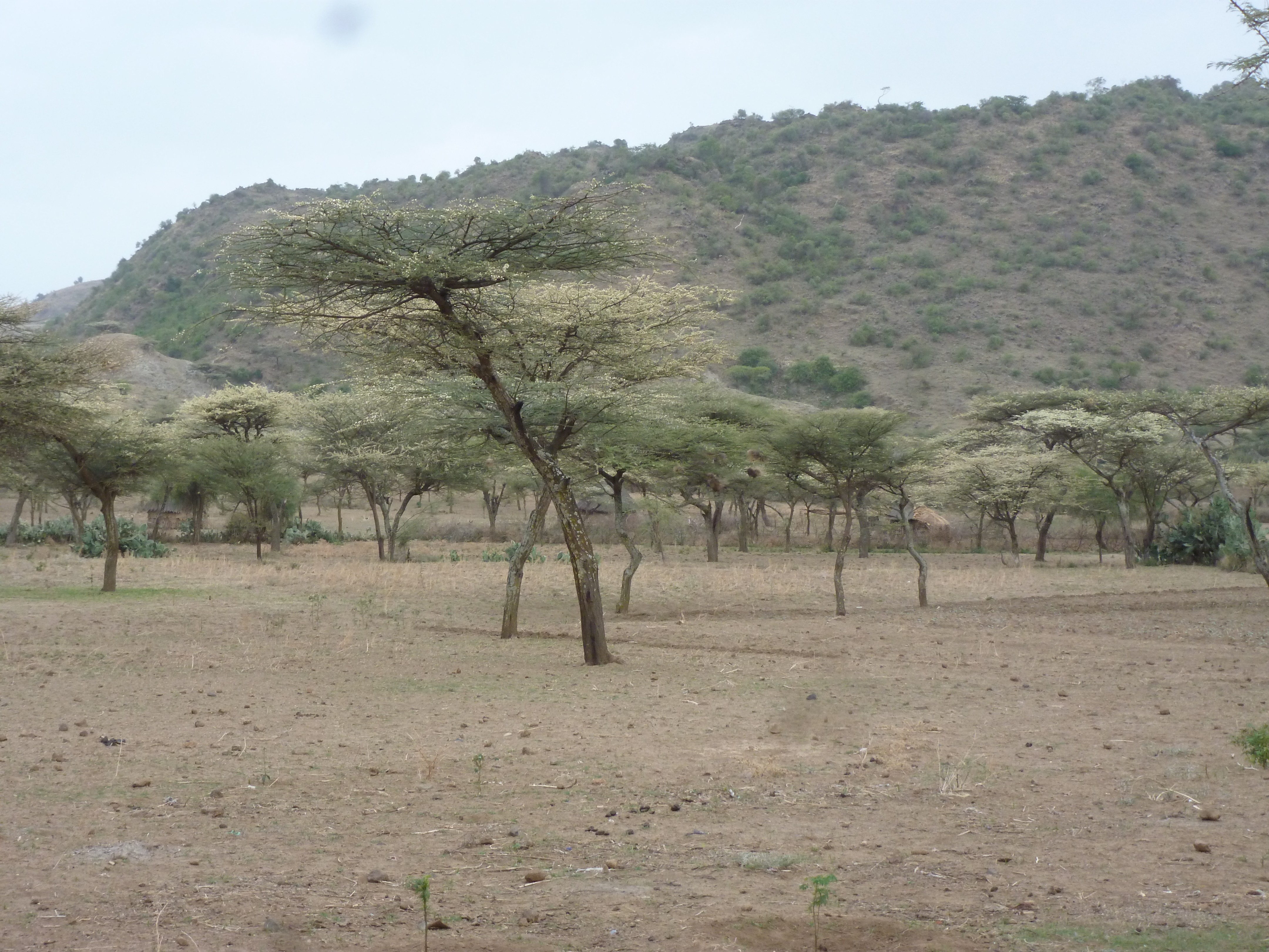 RES-MAB - Promoting WEFE Nexus-based adaptation and mitigation ...