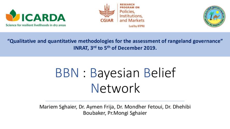 BBN: Bayesian Belief Network