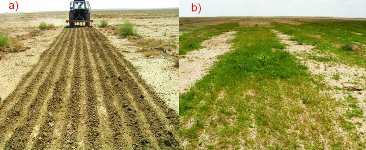 Sustainable rangelands management practices: Soil surface scarification ...